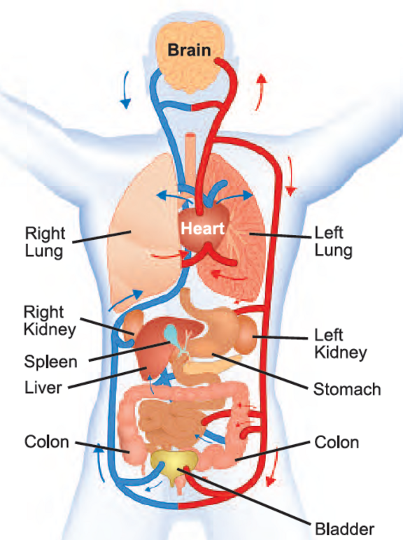 Home Oxygen Therapy Air Liquide Healthcare Australia Home Oxygen Therapy Air Liquide Healthcare Australia